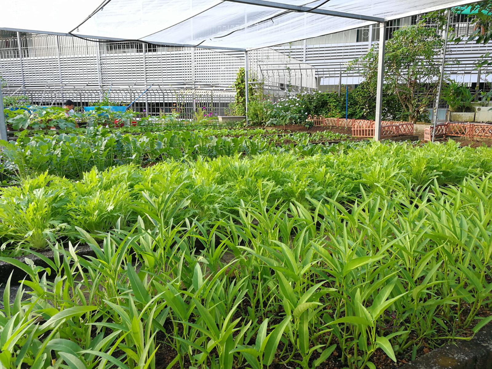 5 Roof Gardens Near You